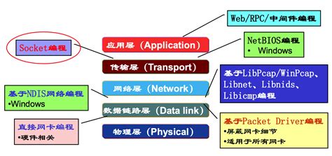 计算机网络开荒22 Socket编程socket Api编程 Csdn博客