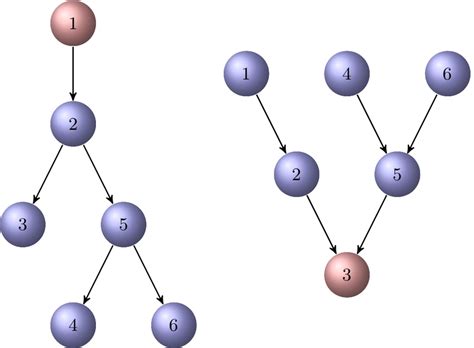 the directed chained structure of the spanning trees download