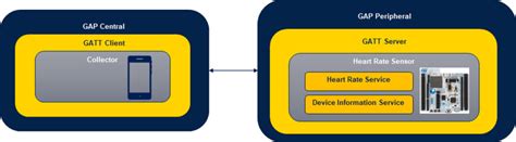 File Connectivity Heart Rate Profile Overview Png Stm32mcu