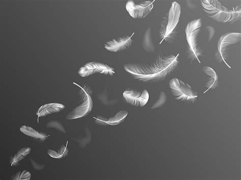 솜털 깃털 현실적인 천사 날개 깃털 흐름 떨어지는 새 깃털 솜털 백조 또는 비둘기 Twirled 깃털 배경 그림 가벼움 흐름 깃털 떠 다니는 경량 깃털 프리미엄 벡터