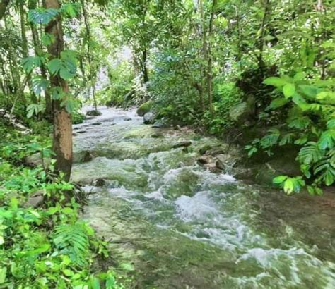 ขายที่ดินติดลำธารน้ำติดลำห้วยใกล้ถนนเส้น 1252 เทพเสด็จดอยสะเก็ตเอกสาร สค1 ที่ดินร้อยแปด คอม