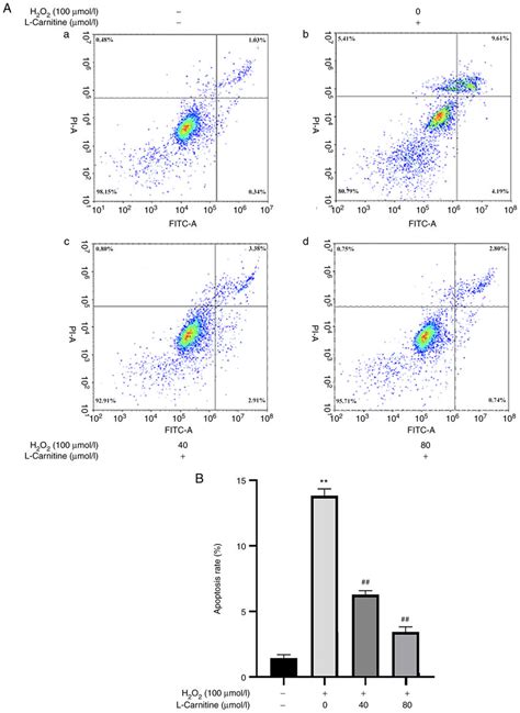 Cell Apoptosis Analysis Through Flow Cytometry A Representative Flow