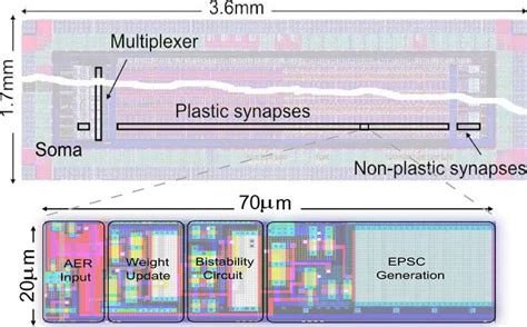 Layout Of A Prototype Chip Comprising An Array Of 16 Iandf Neurons