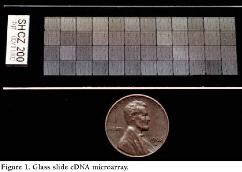Figure 1 From Expression Array Technology In The Diagnosis And Treatment Of Breast Cancer
