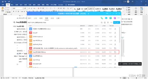 Seay工具 CSDN博客