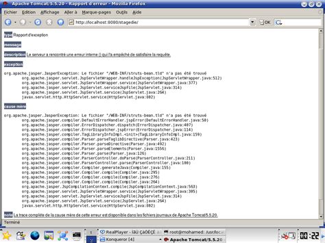 Tomcat Erreur Dexecution Sous Linux Struts 1 Java