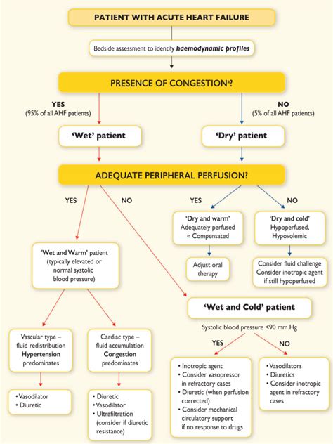 Acute Heart Failure AHF ESC 2016 EMbeds Co Uk
