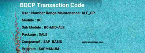 BDCP SAP Tcode For Number Range Maintenance ALE CP