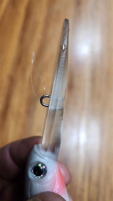 ⚽ Sqb Jerkbait With Resin Bib・ Stl File For 3d Printing・cults