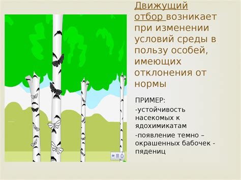 Естественный отбор. Формы естественного отбора - презентация онлайн