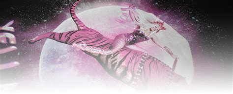 Simulated Process Screen Printing Esp®