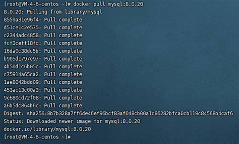 Docker Read Tcp 192168723536512 ＞542302129443 Read