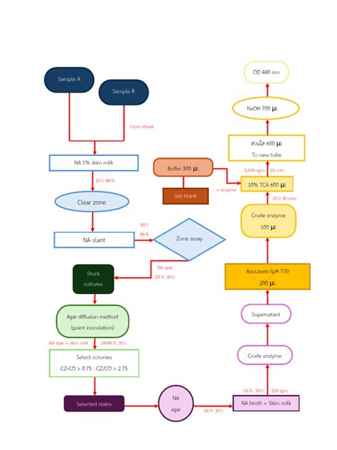 Flowchart Pdf Laboratory Techniques Biology