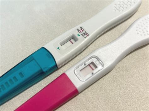 자연임신기록01 얼리 테스트기 임테기 흐린 두줄 생예 5일부터 생예1일까지 네이버 블로그