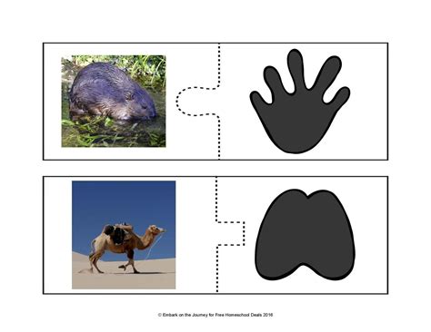 Jeux Dassociation La Suite