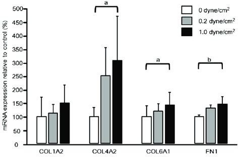 Real Time Reverse Transcriptase Polymerase Chain Reaction Rt Pcr Download Scientific Diagram