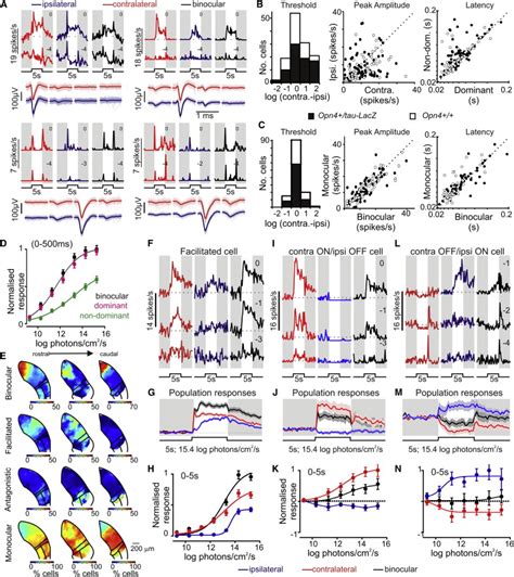 Binocular Visual Responses In Mouse Lgn Neurons Download Scientific