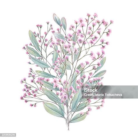 귀여운 섬세한 꽃다발 분홍색 Gypsophila 유칼립투스 분지 수채화 그림 흰색 배경에 고립 결혼식 초대장 어머니의 날 카드를 위한 손으로 그린 꽃 로맨스 구성 꽃냉이속에