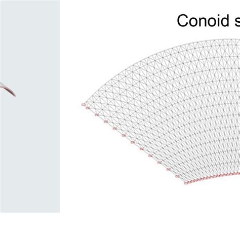The Using Of Conoid And Cone Shells In The Buildings Download