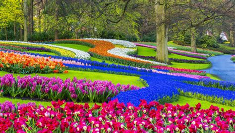 Conheça Keukenhof Maior Jardim De Flores Do Mundo Sem Sair De Casa