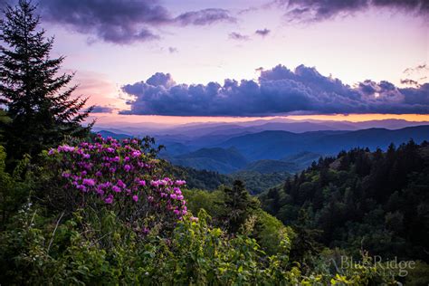 Great Craggy Mountains North Carolina Wallpapers Wallpaper Cave