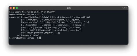 Ssh подключение что это и как использовать Windows Linux Ubuntu