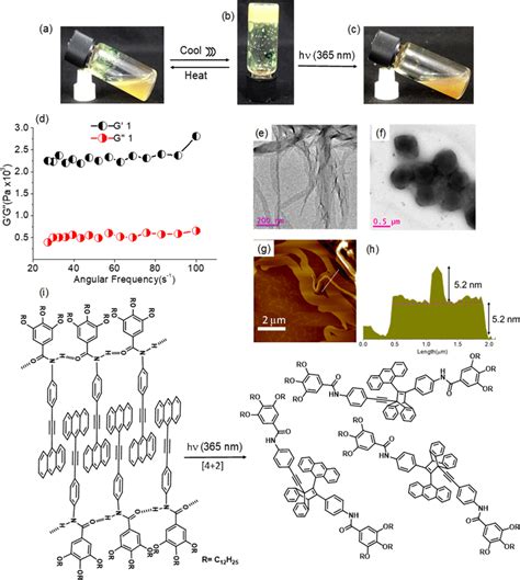 A B Photographs Showing Reversible Gelation Of 1 In Mch And C The Download Scientific