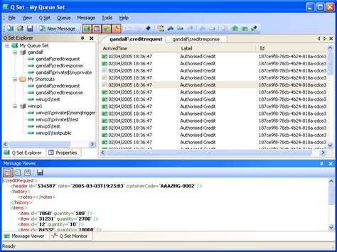Msmq Message Viewer Stack Overflow