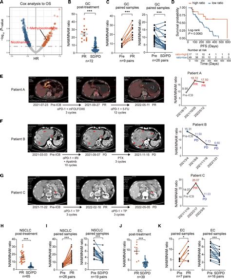 Nicotinamide Metabolism Face Off Between Macrophages And Fibroblasts Manipulates The