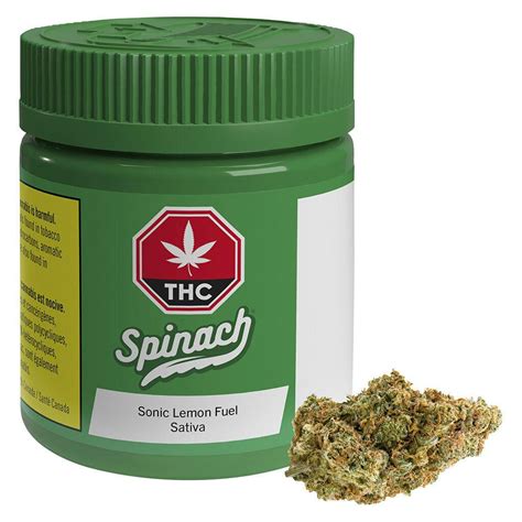 Spinach Sonic Lemon Fuel