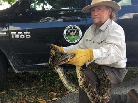 Florida Fwc Sfwmd Have Removed More Than 3600 Burmese Pythons From