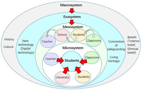 Ecological Systems Theory Examples