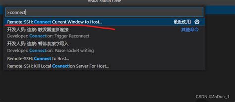 使用vscode对树莓派远程c 调试 树莓派 vscode c csdn博客