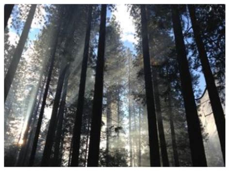 37 Inspiring Css Carousels For Modern Websites