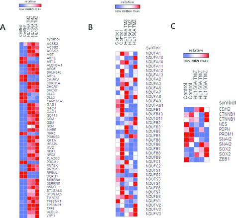 high throughput gene expression microarray a differentially expressed