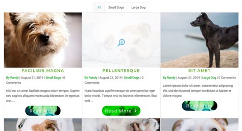 Divi Plugin Highlight Divi FilterGrid Ask The Egghead Inc