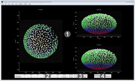 3 Exemplary Screenshot Of The Semi Automatic Data Correction Gui The