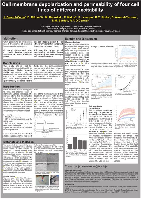 Pdf Cell Membrane Depolarization And Permeability Of Four Cell Lines