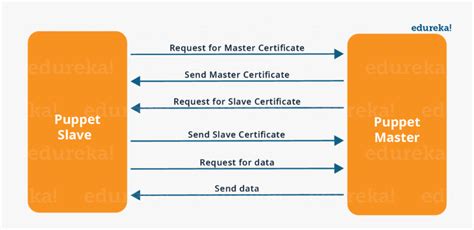 Ssl Connection Between Puppet Master And Puppet Slave Puppet Master Slave Architecture HD Png