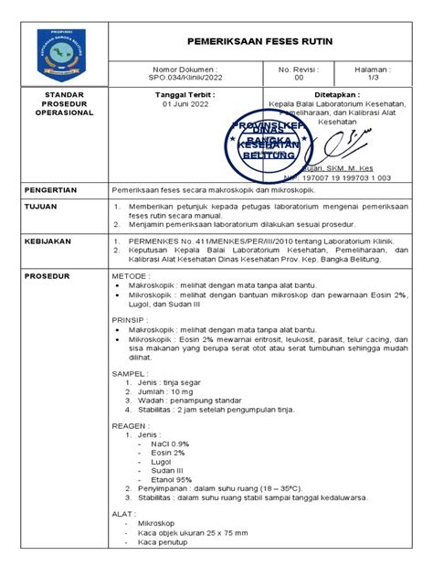 34 Spo Pemeriksaan Feses Rutin Pdf Kesehatan Holistik Sains And Matematika