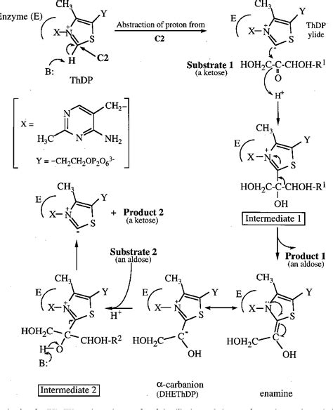 Figure 1 From Properties And Functions Of The Thiamin Diphosphate