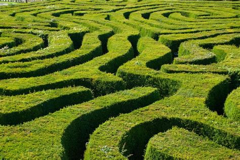 Irene Wang On Linkedin How Solving The Jump Game Problem Mirrors Traversing A Maze From End To