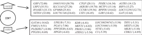 Illustration Of Differentially Expressed Genes Between Isthmus And Download Scientific Diagram