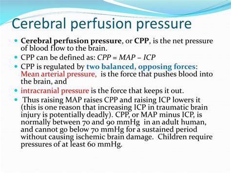Ppt Cerebral Circulation And Csf Formation Powerpoint Presentation Id 6155312