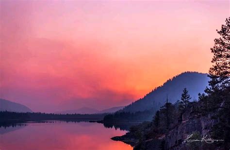 Harish Kallianpur On Linkedin Kindness Passiton