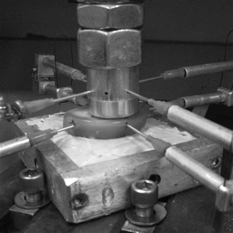 Subsidence Measures Were Observed In Two Bone Surrogates Polyurethane Download Scientific