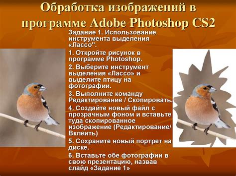 Обработка изображений в программе Adobe Photoshop Cs2 презентация онлайн