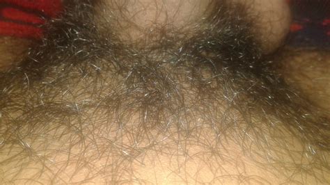 Hairy Cock Jhaant K Baal Porn Pictures Xxx Photos Sex Images 4027769 Pictoa