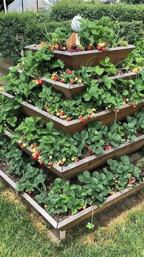 Quick And Easy Diy Raspberry Trellis Artofit