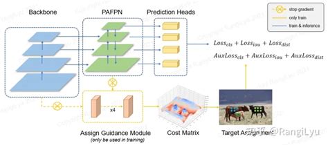 目标检测6 nanodetplus算法分析 nanodet plus目标检测 csdn博客